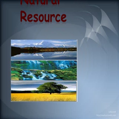 Natural Resource | PPTX | Environment | Science