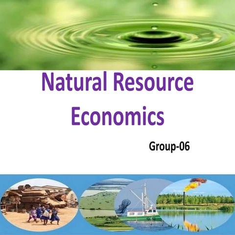 Natural resource economics | PPTX