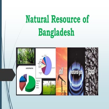 Natural resource of bangladesh | PPTX