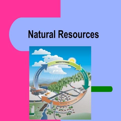 Natural Resources | PPS