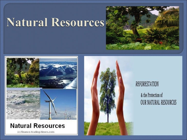 Natural resources