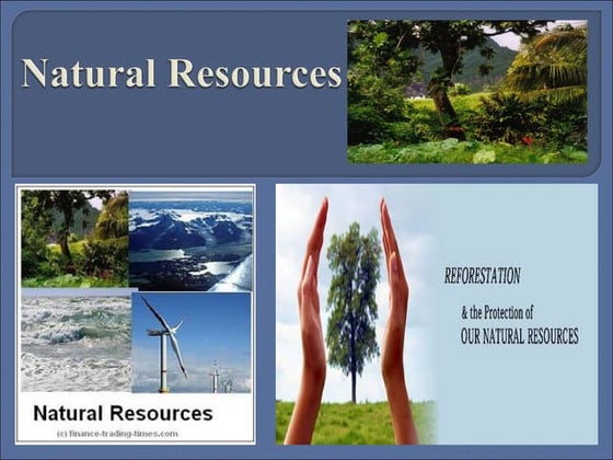 Natural Resources Presentation | PPTX