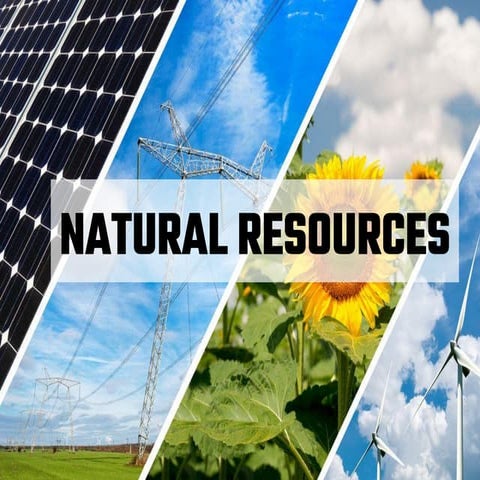 Main sources of energy | PDF