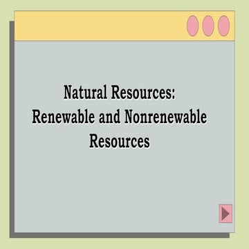 Natural Resources.pptx