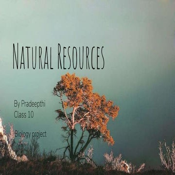 Natural Resourcesuseful on Natural Resources for school projects grade ...