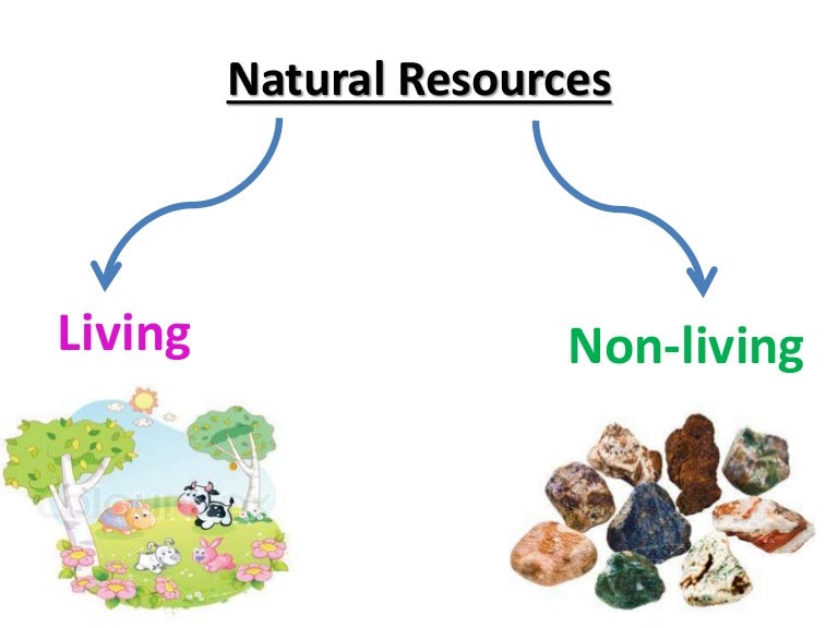 Natural resources 2