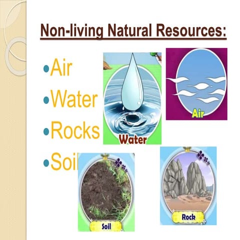 Natural resources 3 | PPTX
