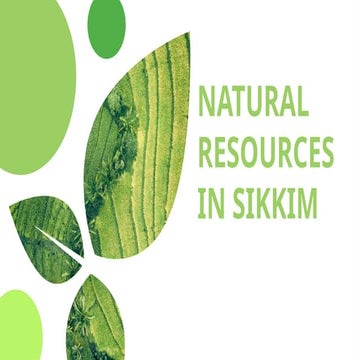 VEGETATION OF SIKKIM.pptx