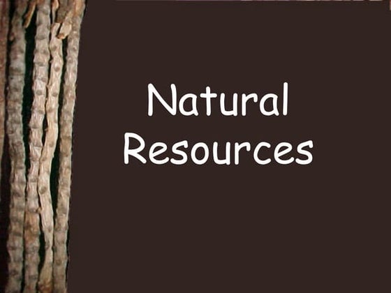 Natural Resources Presentation | PPTX