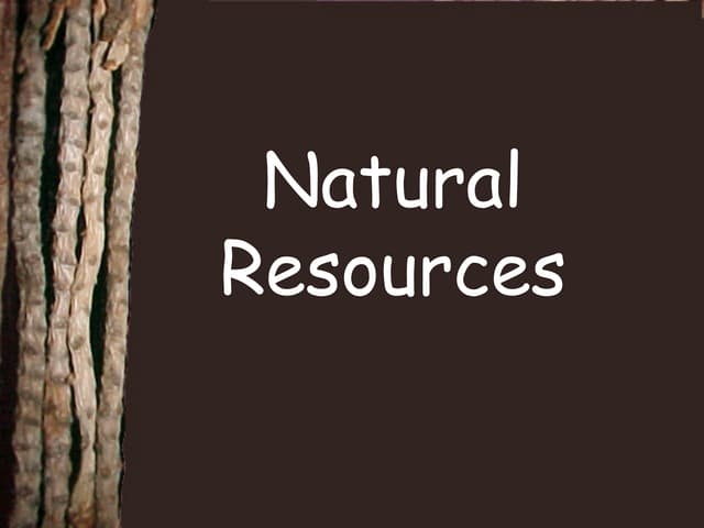 Natural Resources | PPTX