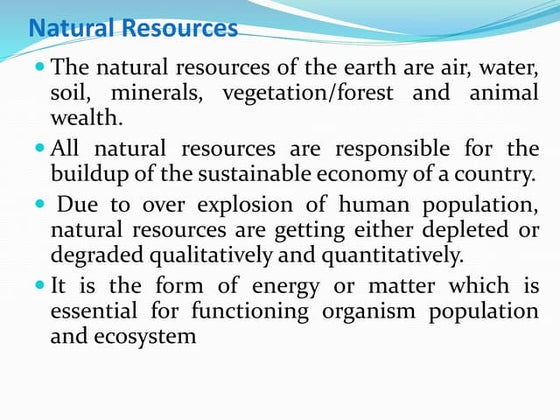 Forest Ecosystem | PPT