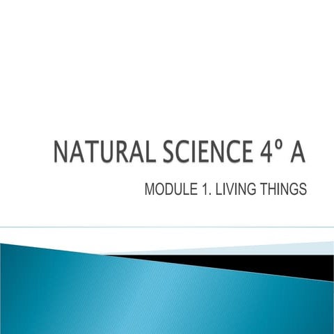 Natural science 4º a | PPT