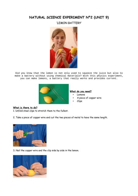 Potatoclock experiment.docx | Chemistry | Science