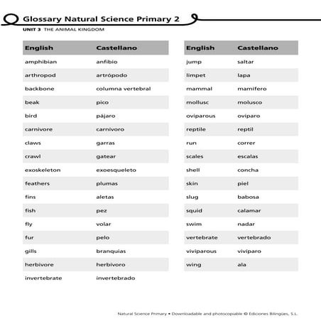 Natural Science: MATERIALS GLOSSARY | PDF