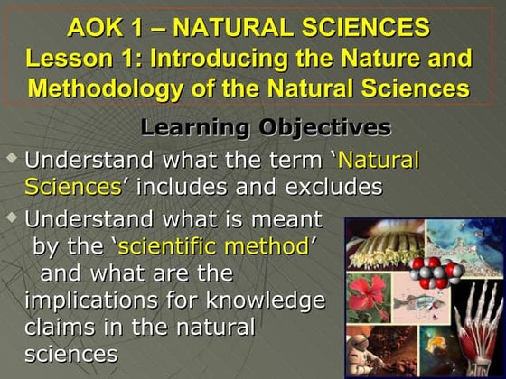 The Nature and Scope of Sociology | PPTX