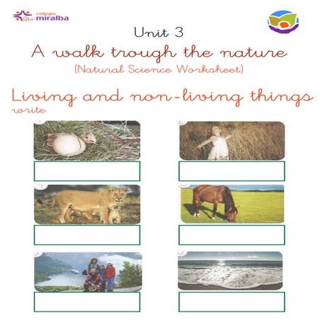 Natural sciencie 1o_unit_3_worksheet | PDF