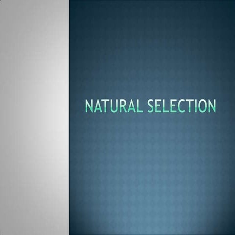 Natural Selection | PPTX