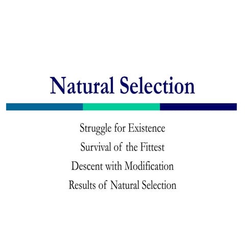 Natural selection | PPT