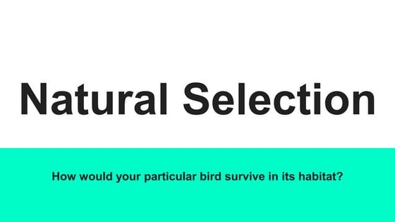 Cer power point | PPT