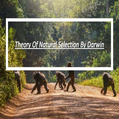 Darwin’s theory of evolution | PPTX