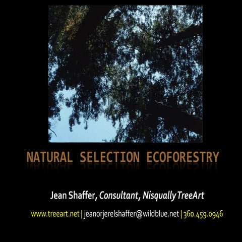 Natural Selection Ecoforestry | PPTX