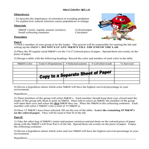 Natural selection m&m lab | DOCX