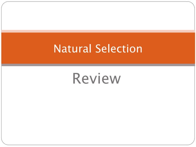 Natural selection - EAP note-taking questions | PDF