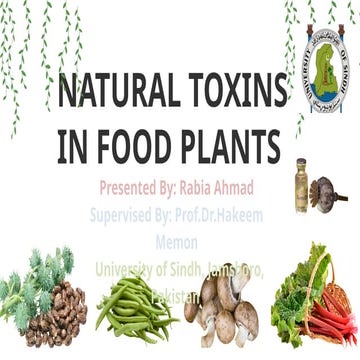 Natural Toxins In Food Plants (Phytotoxins).pptx