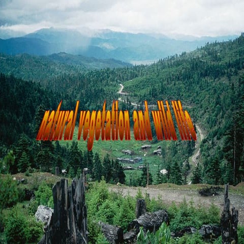 Kv motto,pledge and song | PDF