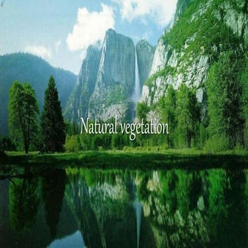 Natural vegetation | PPTX