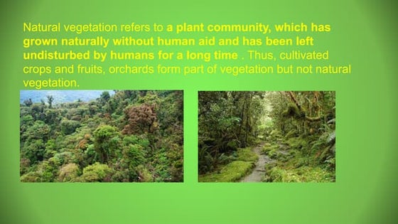 types of forest | PPTX | Geography | Science