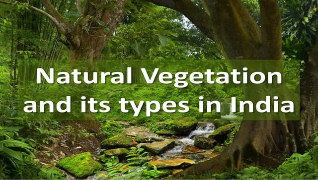 different types of natural vegetation and wildlife