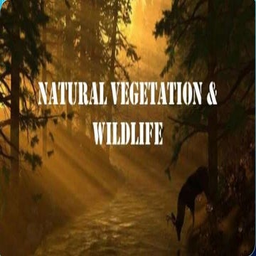 Natural vegetation and wildlife | PPT