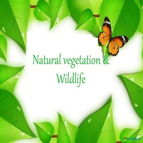 Natural vegetation and wildlife | PPTX