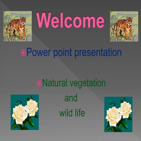 Natural vegetation and wild life | PPTX | Geography | Science