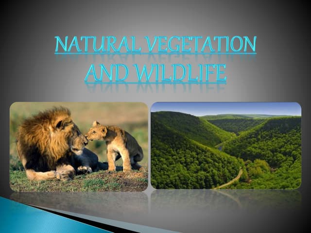 Natural Vegetation And Wild Life ppt.pdf