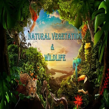 Natural Vegetation and Wildlife ( Geography ).pdf | Parks | Attractions