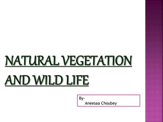 Natural Vegetation And Wild Life ppt.pdf | Geography | Science