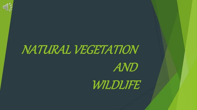 Natural Vegetation And Wild Life ppt.pdf