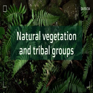 Natural_Vegetation_ppt_study meterial.pptx