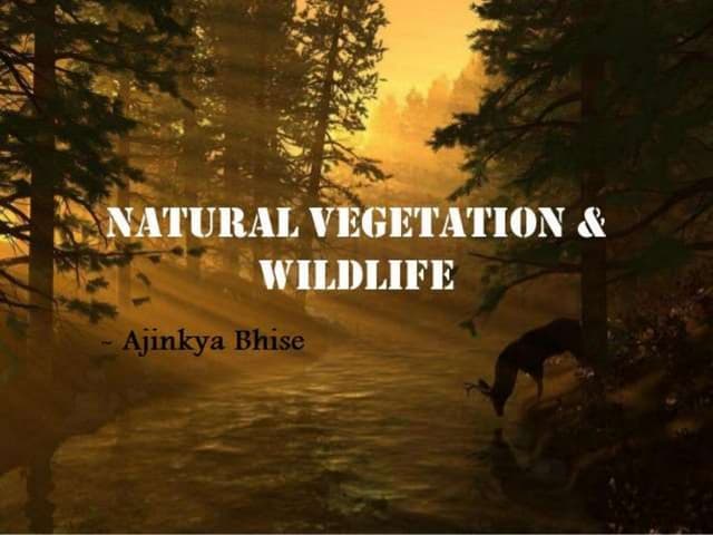 Natural vegetation and wildlife ppt | PPTX