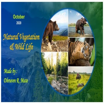 Natural vegetation and wildlife | PPT