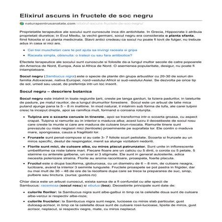 Elixirul ascuns in fructele de soc negru - SambuRex Ca liVita | PDF