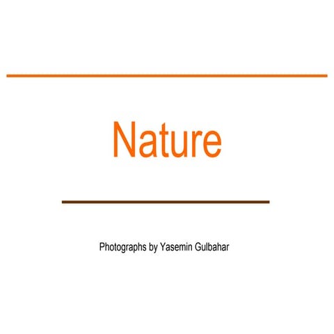 Nature | PPT