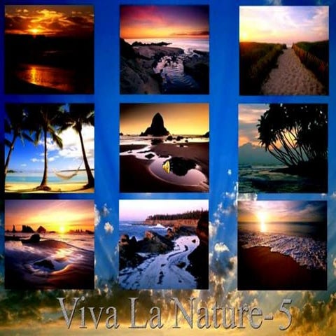 Pacific Ocean | PPT