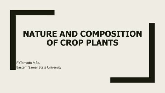 Xylem and phloem lesson 2 | PPT