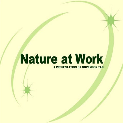 Nature At Work | PPT