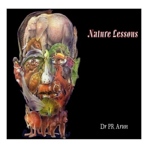 Nature Lessons | PDF