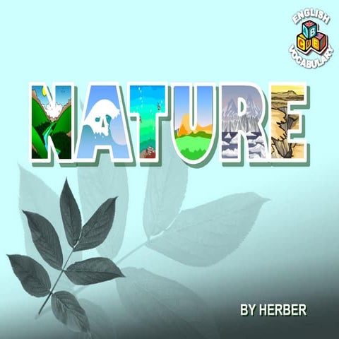 jewelry-flashcards-fun-activities-games-games_70550.pptx