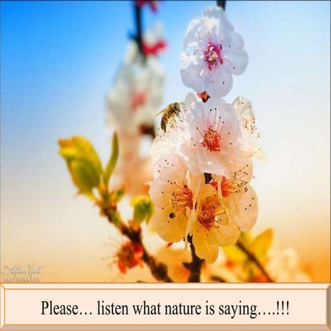 Nature Talk | PPTX